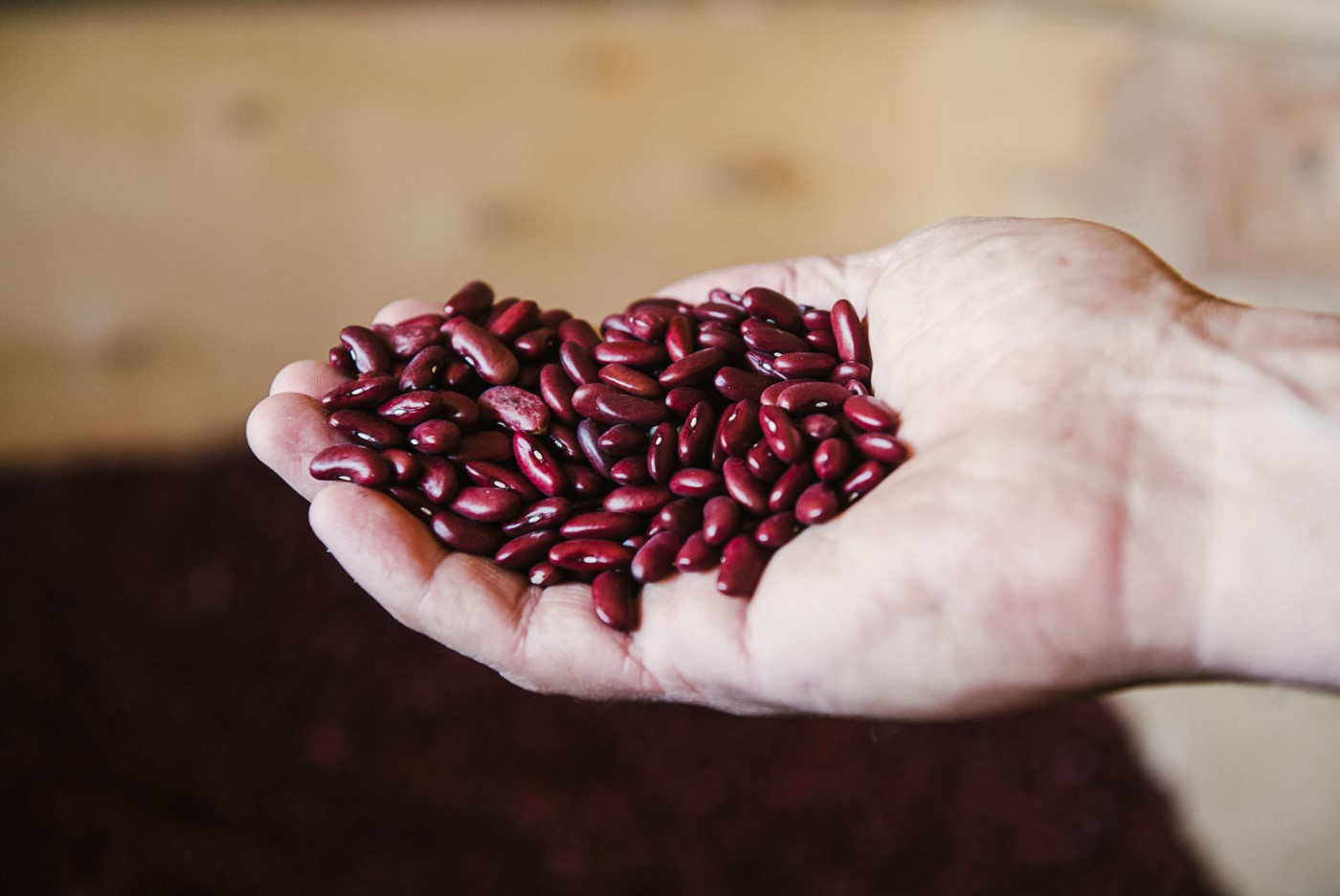 Graines alimentaires certifiées AB, Demeter et Biosuisse - Grains de Soleil